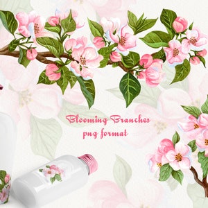 Apple Blossom Watercolor Set. Realistic Flower Clip Art for Instant ...