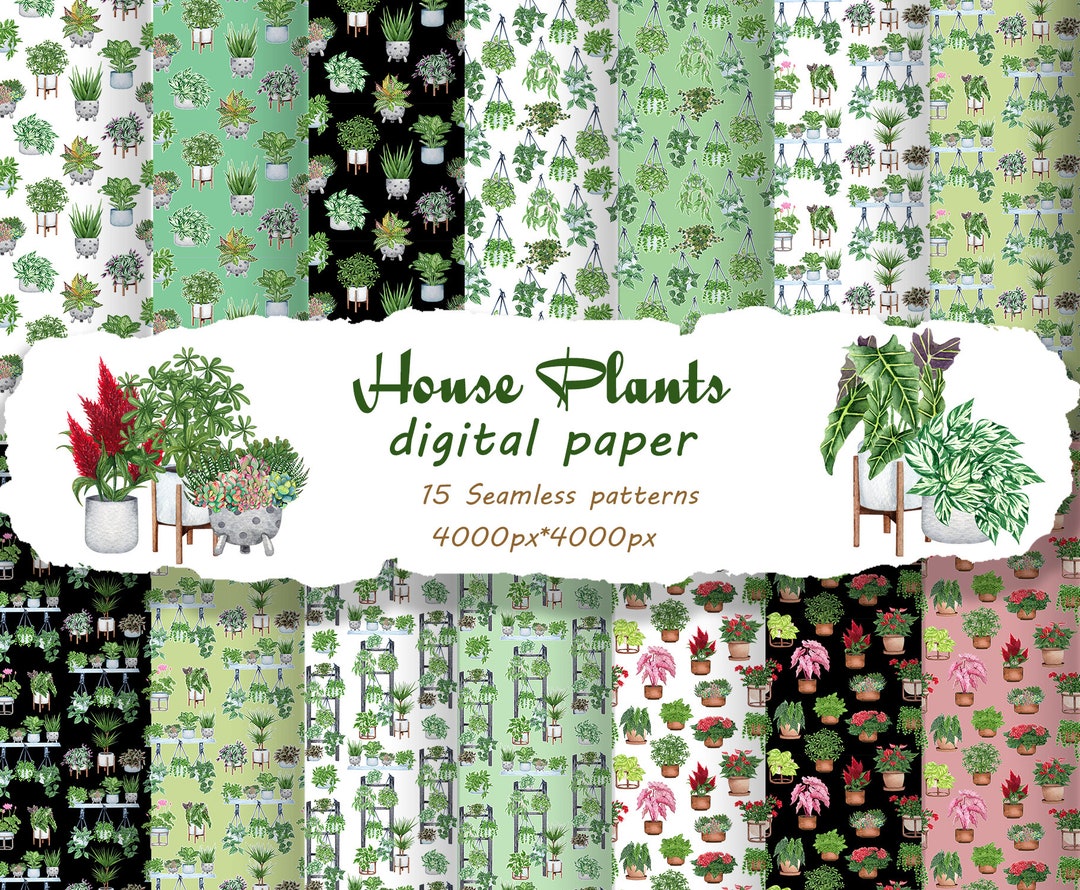 Plants Seamless Patterns. House Plants Digital Paper. Paper Pack ...