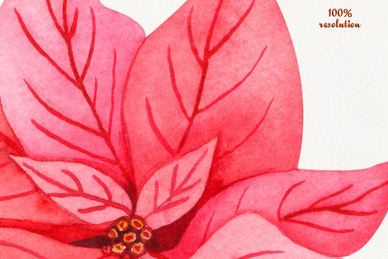 Christmas Watercolor Clipart Christmas Star Illustration | Etsy