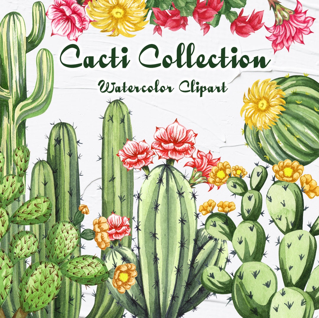 Cactus Watercolor Clipart. Watercolour Cactus Individual PNG. Succulent ...