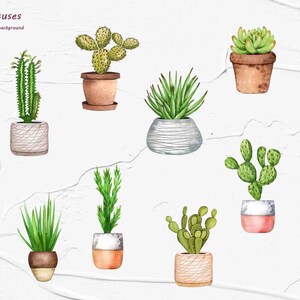 Cactus Watercolor Clipart. Succulent Watercolor Clipart. Houseplants ...
