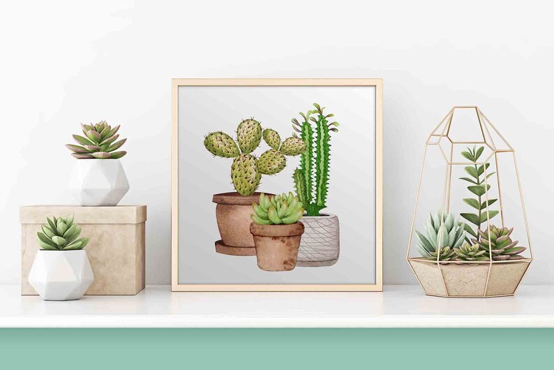 Cactus Watercolor Clipart. Succulent Watercolor Clipart. Houseplants ...