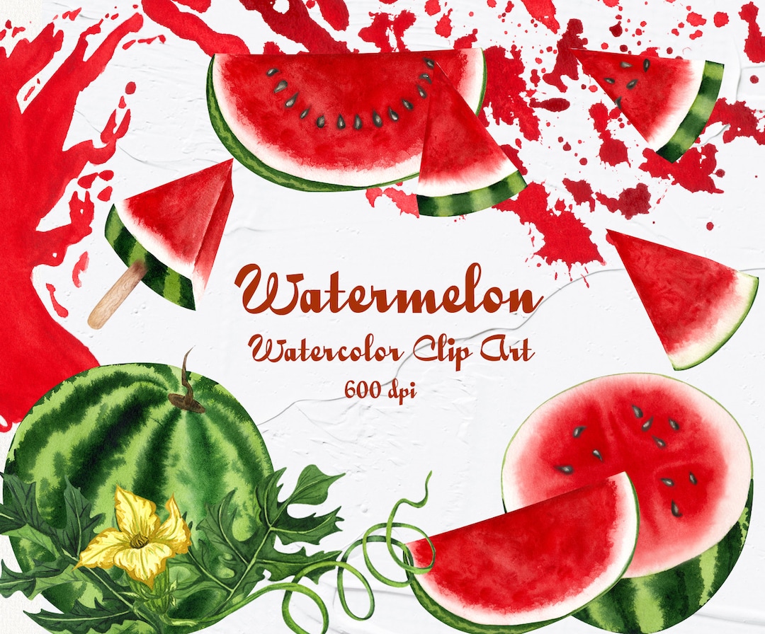 Watermelon Watercolor Clipart. Summer Fruit Clip Art, Watermelon Slice ...