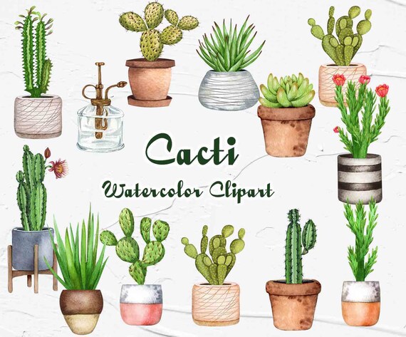 Cactus Watercolor Clipart. Succulent Watercolor Clipart. - Etsy