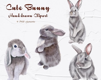 Watercolor Bunnies Clipart Animals Farm Rabbit Png Cute - Etsy