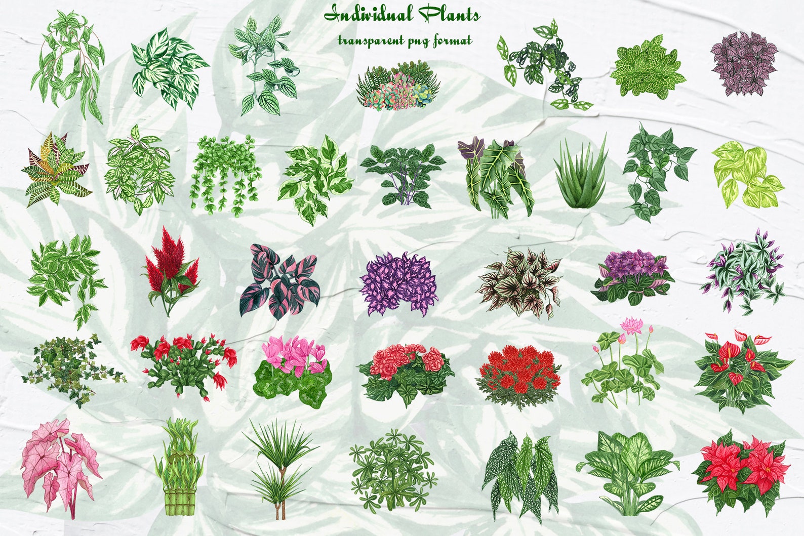 Watercolor Plant Big Collection. House Plants Clip Art. Indoor Plants ...