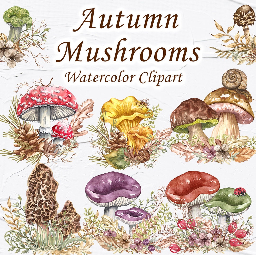 Forest Mushrooms Clipart. Mushroom Watercolor Clipartmushrooms. Autumn ...