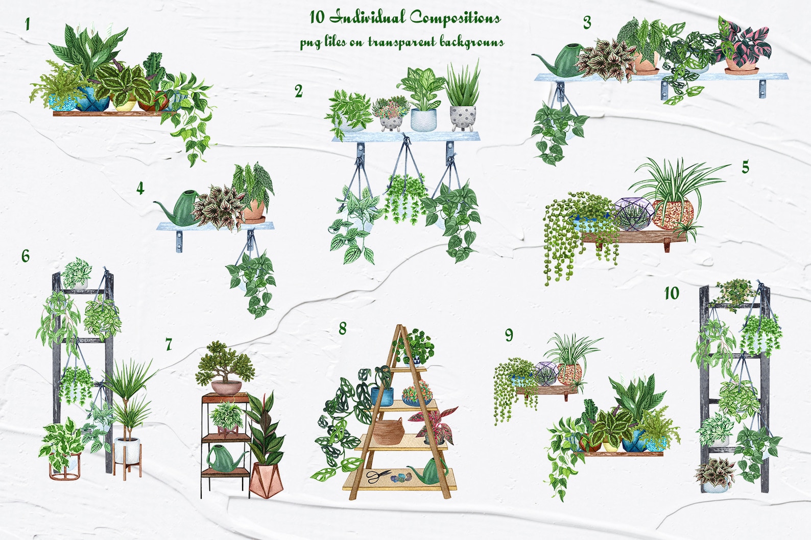 House Plants Watercolor Clipart. Plant Shelf. Boho Hause. Indoor Plants ...