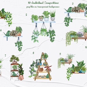 House Plants Watercolor Clipart. Plant Shelf. Boho Hause. Indoor Plants ...