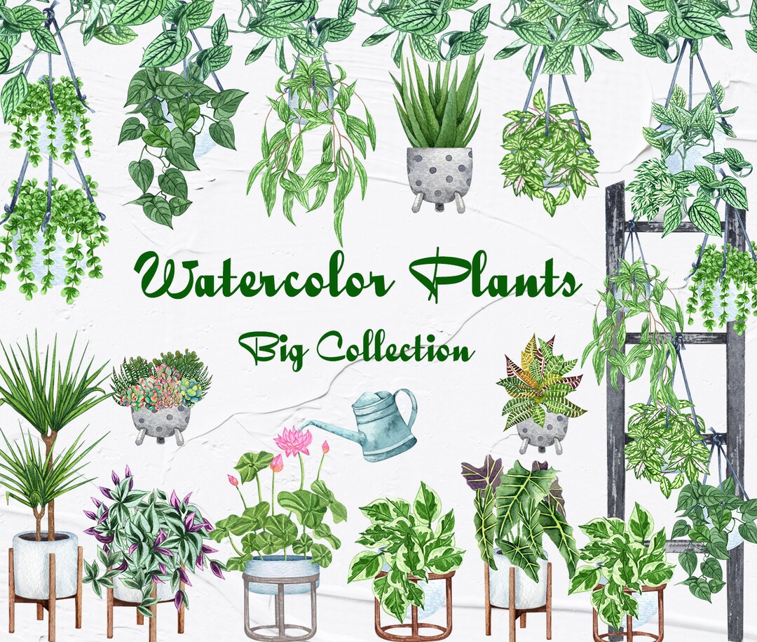 Watercolor Plant Big Collection. House Plants Clip Art. Indoor Plants ...