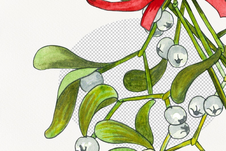 Mistletoe Watercolor Clipart. Christmas Mistletoe | Etsy
