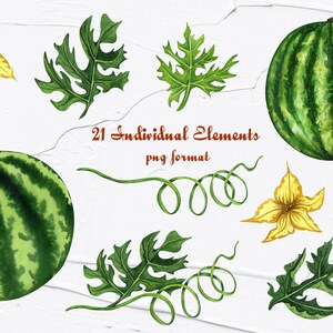 Watermelon Watercolor Clipart. Summer Fruit Clip Art, Watermelon Slice ...