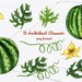 Watermelon Watercolor Clipart. Summer Fruit Clip Art, Watermelon Slice ...