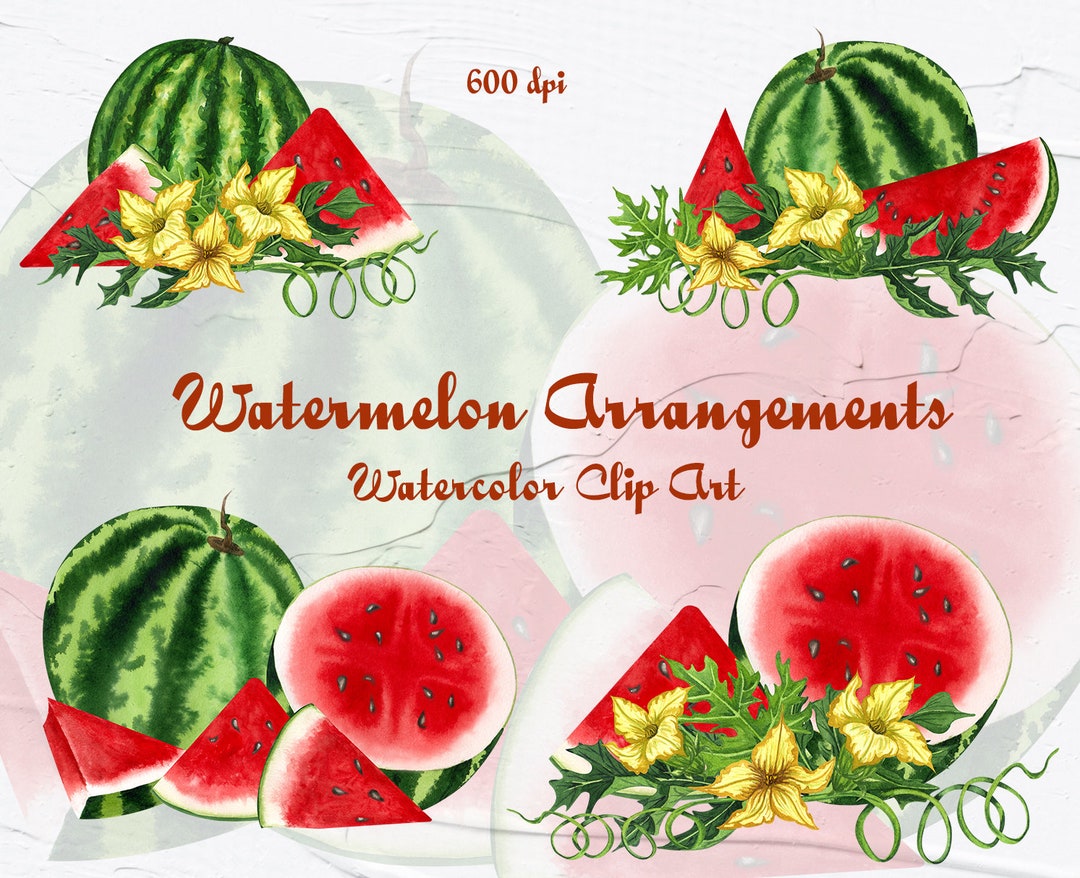 Watermelon Clipart. Summer Fruit Clip Art, Watermelon Illustration ...