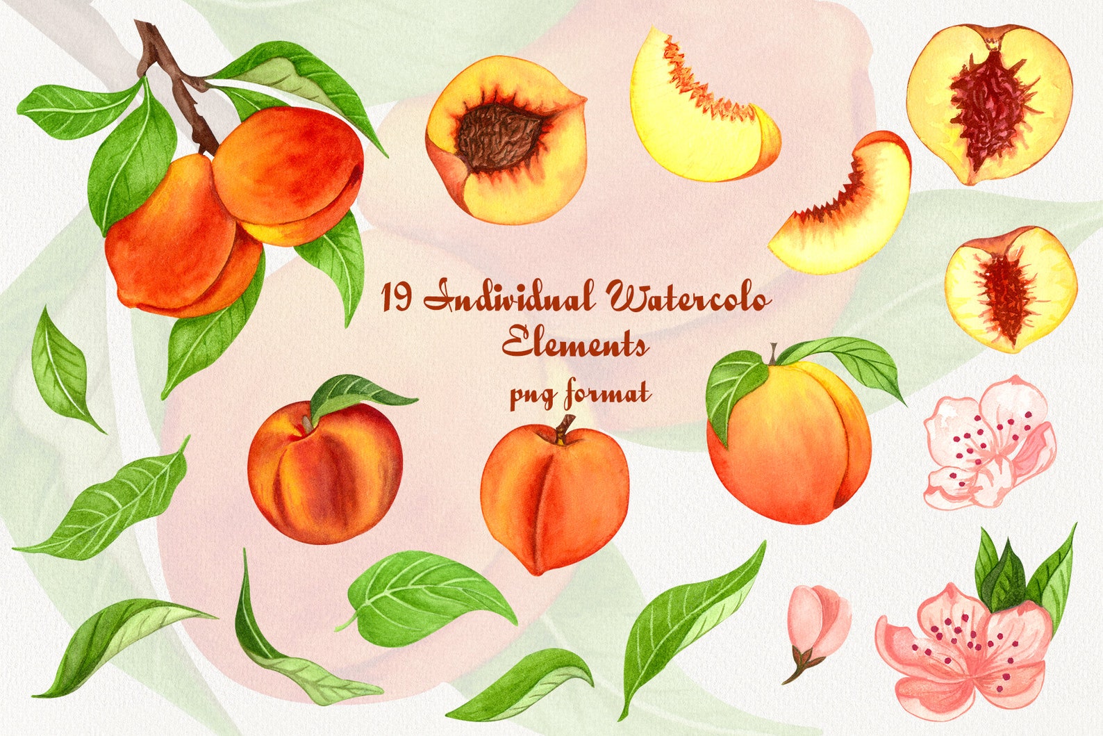 Peach Watercolor Clipart. Peach Clipart. Peach Tree | Etsy