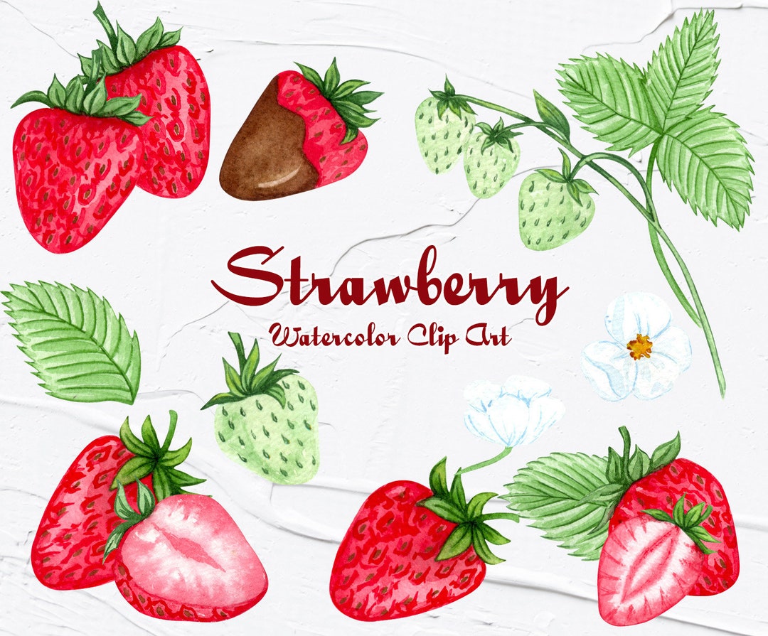 Strawberry Watercolor Clipart. Strawberry Illustration. Summer ...