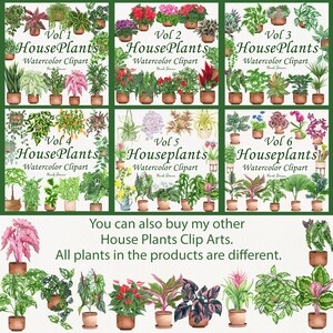 Houseplants Watercolor Clipart. Potted Plants Clipart. Indoor Plants ...