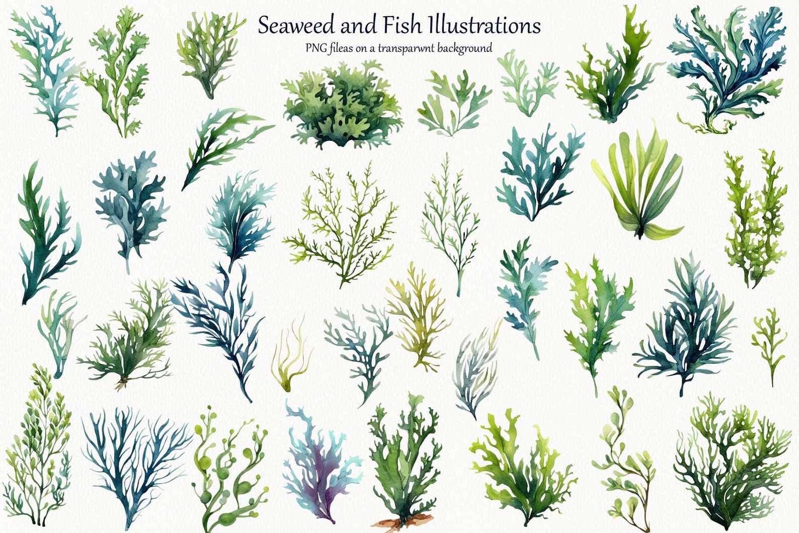 Seaweed Watercolor Clipart. Coral Reef Clipart. Tropical Clipart. Ocean ...