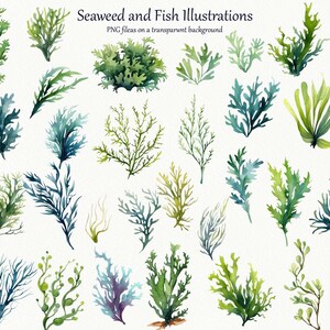 Seaweed Watercolor Clipart. Coral Reef Clipart. Tropical Clipart. Ocean ...
