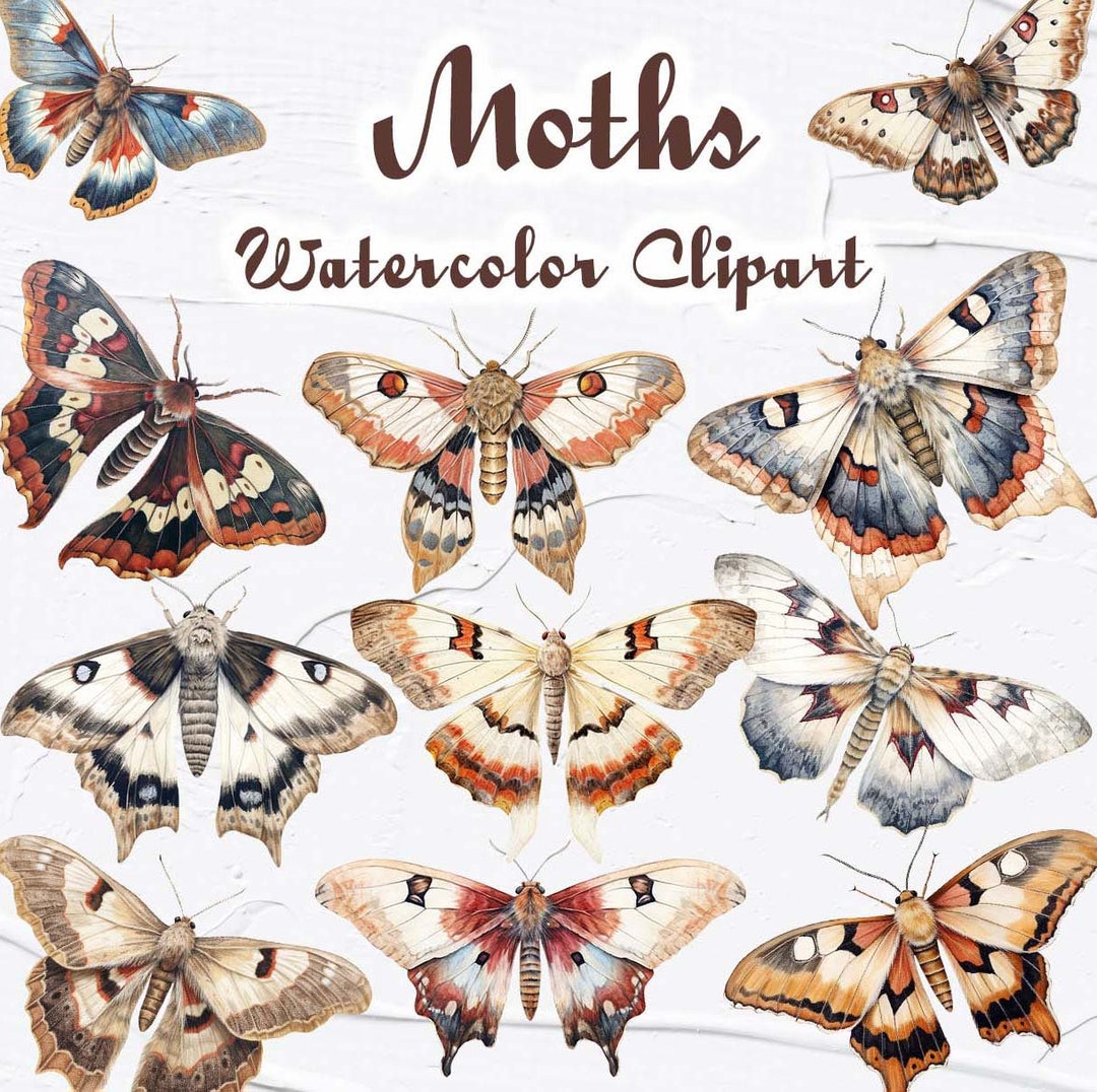 Moths Watercolor Clipart. Moth Clipart. Butterflies Clipart. Moth ...