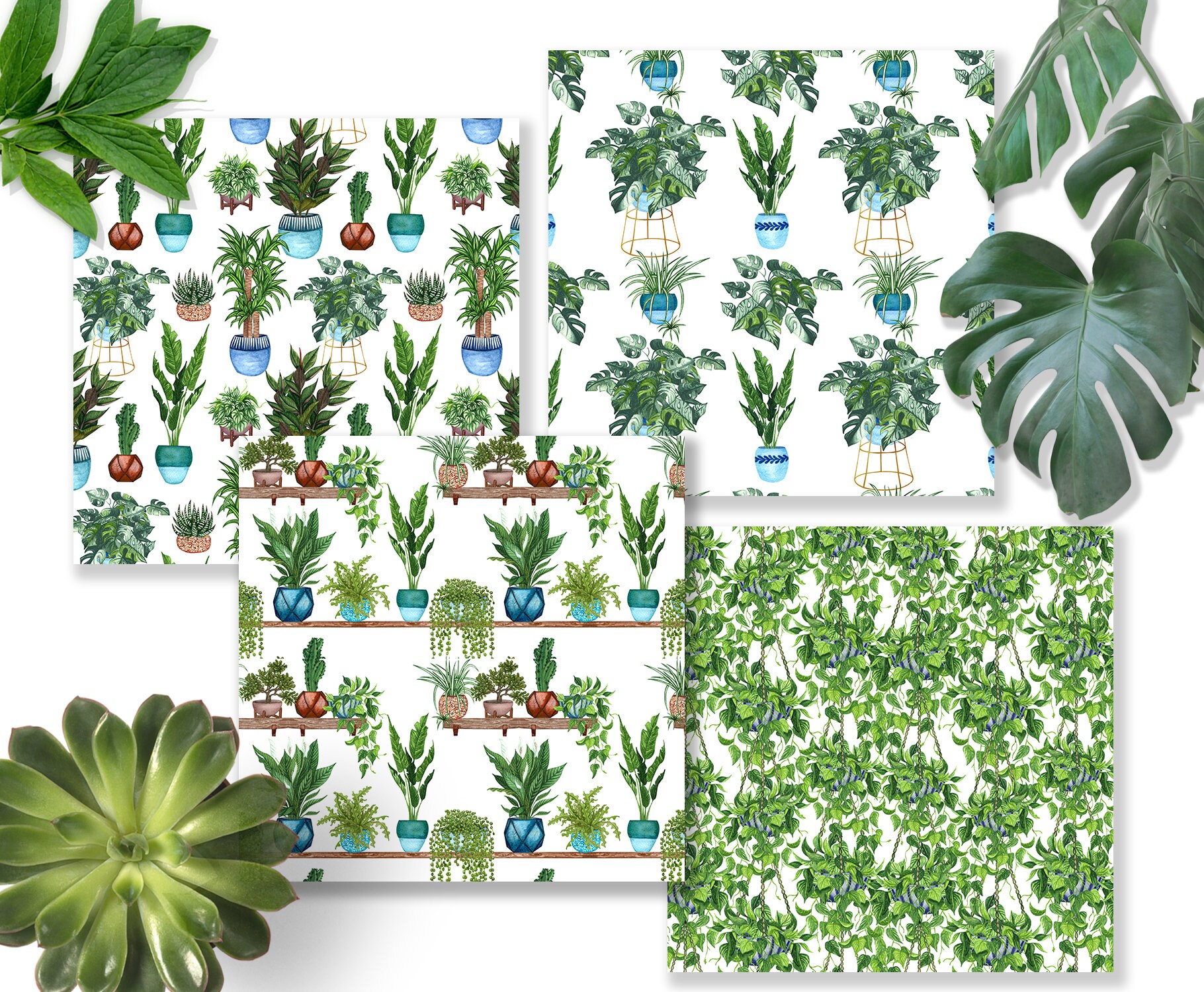 12 Watercolor Plants Seamless Patterns. House Plants Digital - Etsy