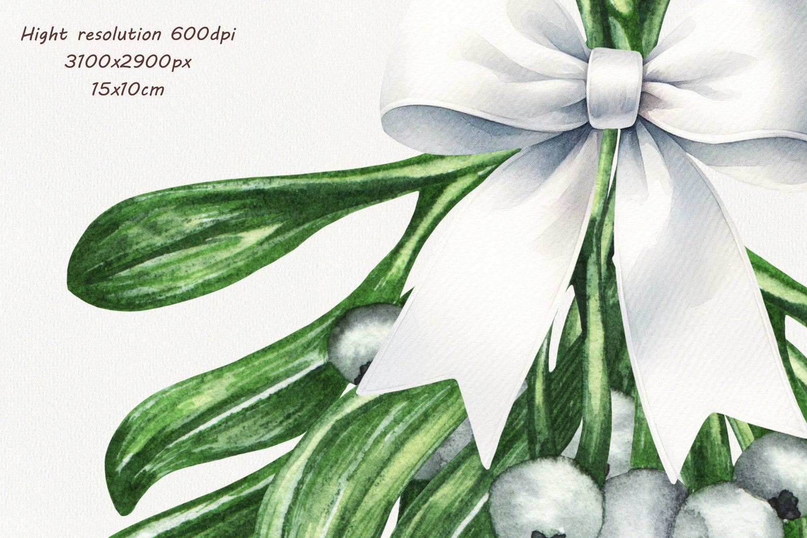 Mistletoe Watercolor Clipart. Decorative Bow Clipart. Christmas Clipart ...