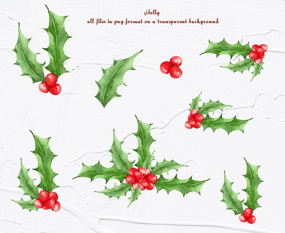 Holly Watercolor Clipart. Holly Branch Clipart. Watercolor Christmas ...