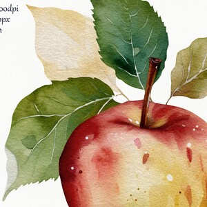 Apple Watercolor Clipart Harvest Set. Apple Tree Illustration. Summer ...