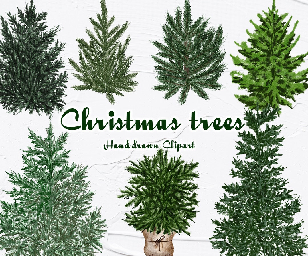 Christmas Tree Watercolor Clipart. Watercolor Pine Tree Clipart ...