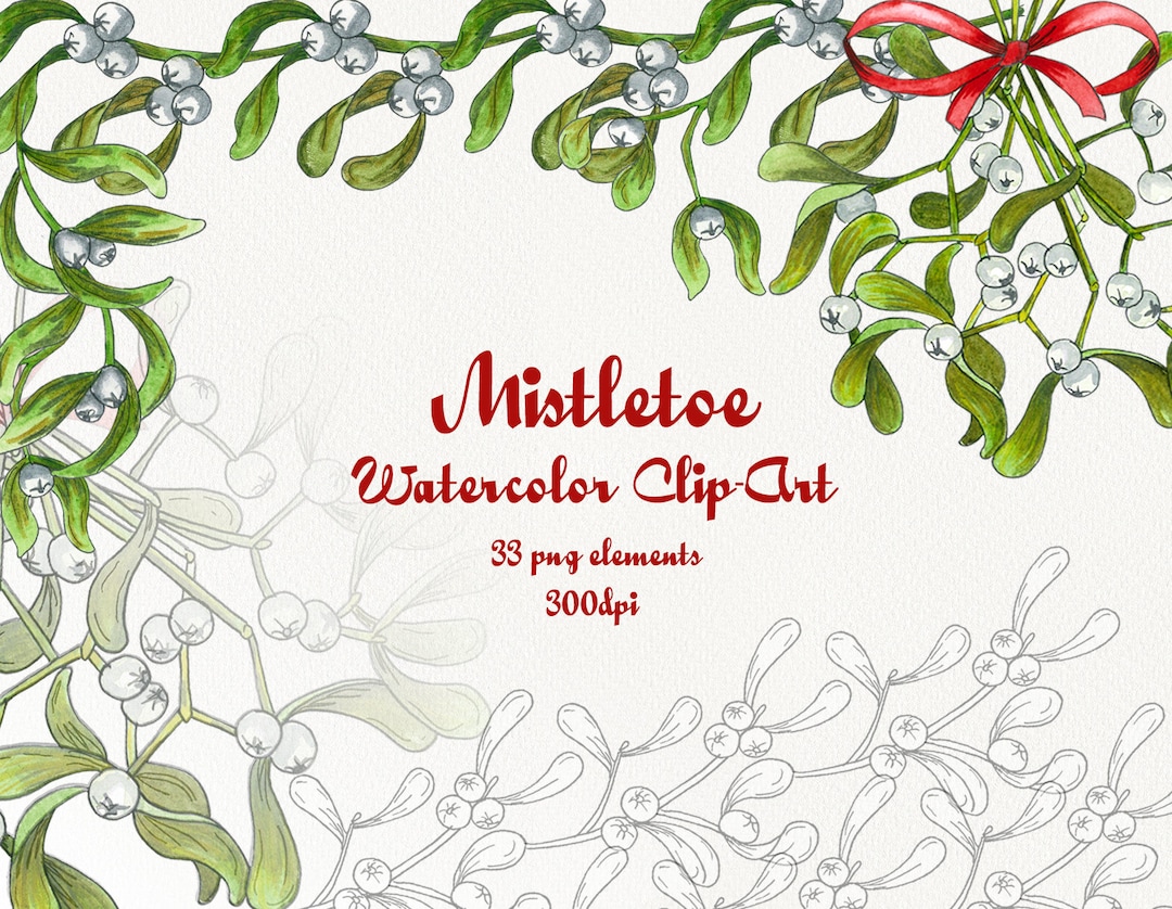 Mistletoe Watercolor Clipart. Christmas Mistletoe Illustration ...