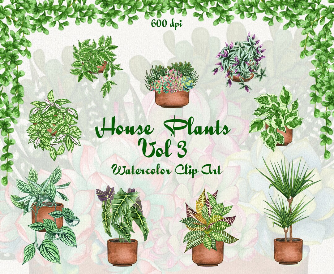 House Plants Clip Art. Indoor Plants Watercolor Clip Art. Cacti Clip ...