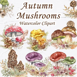 Forest Mushrooms Clipart. Mushroom Watercolor Clipartmushrooms. Autumn ...