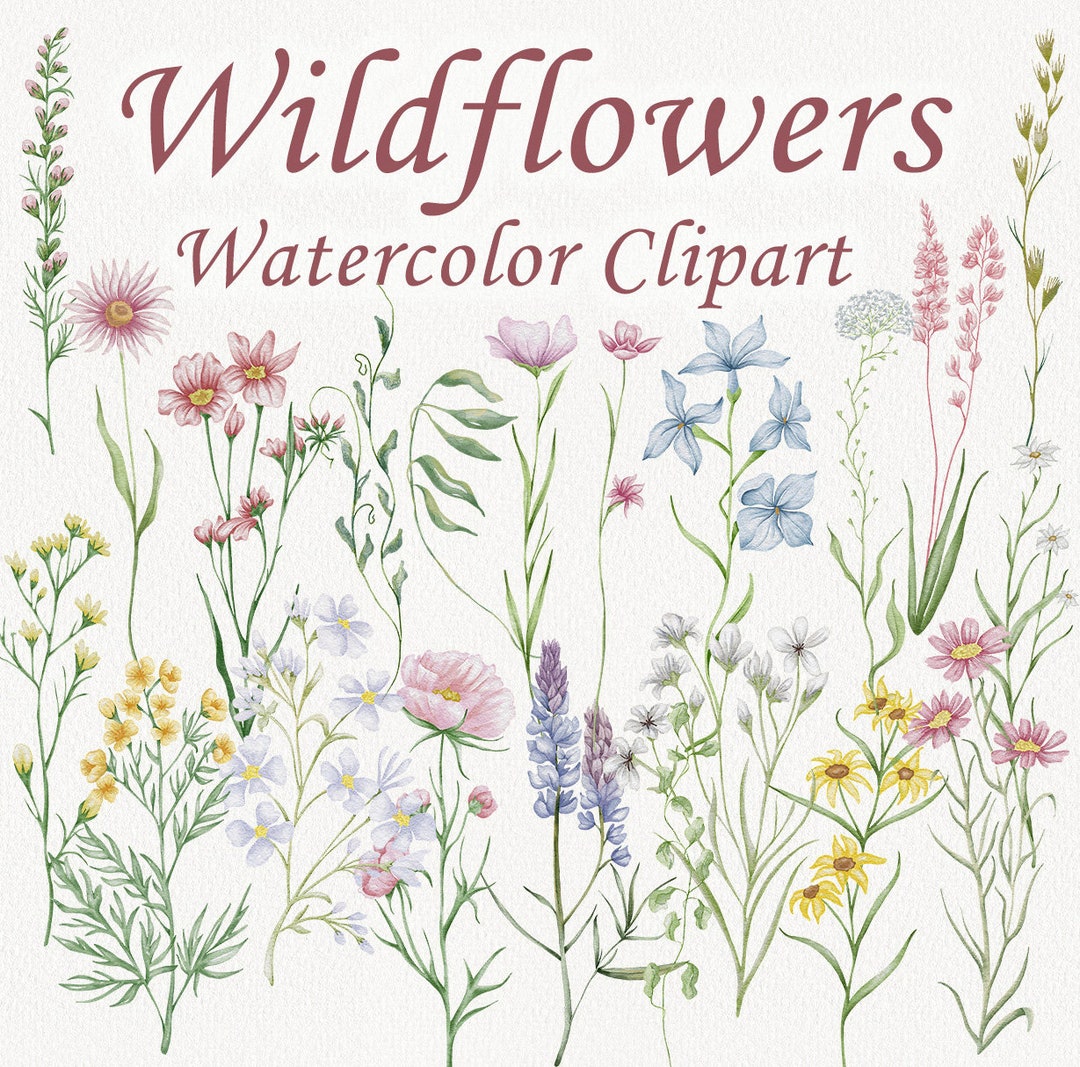Watercolor Wildflowers Clipart. Boho Wild Flowers. Wedding Clipart ...