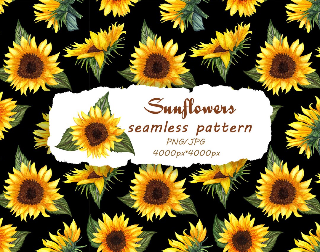 Sunflower Digital Paper, Summer Seamless Patterns. Paper Pack, Floral ...