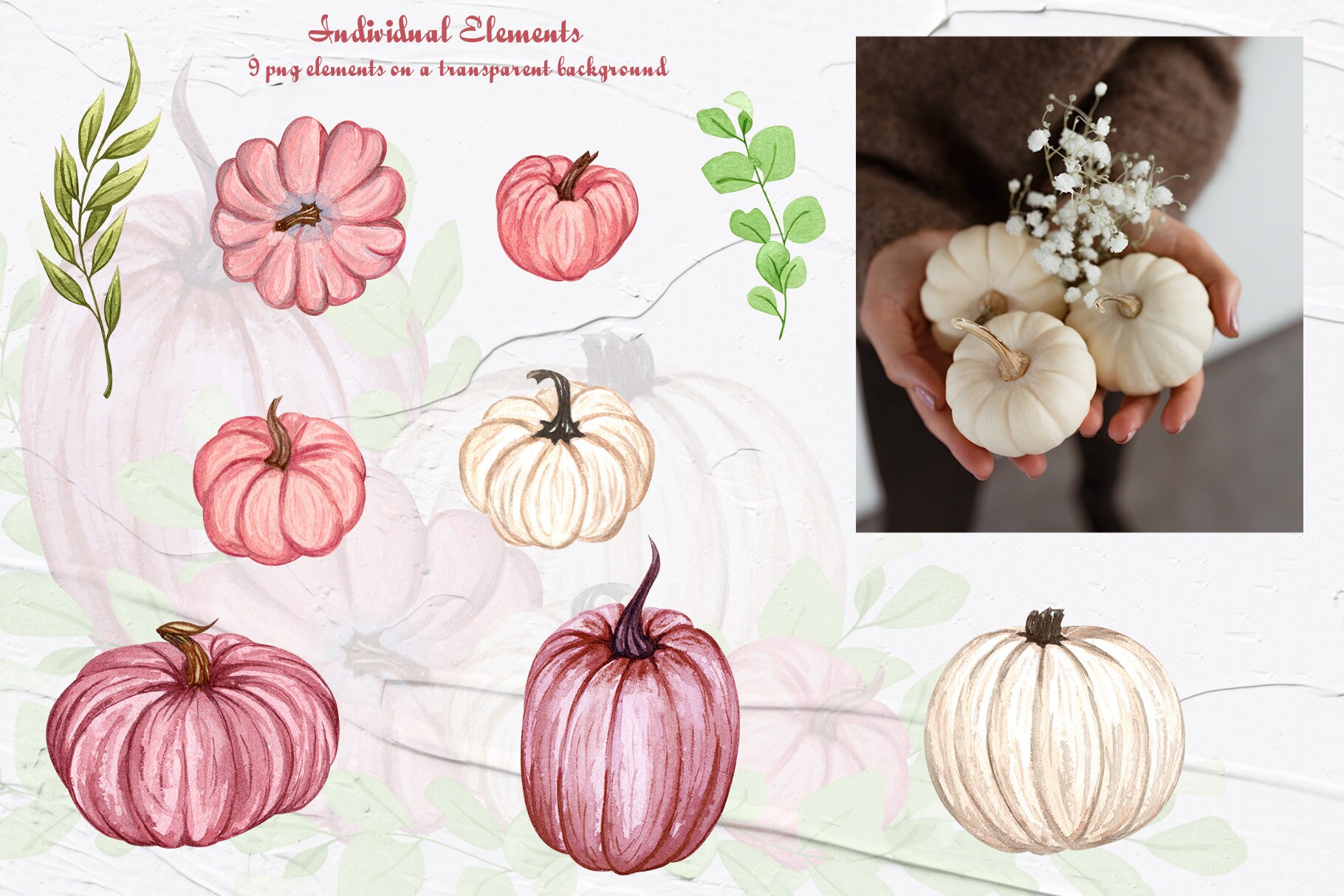 Pink Pumpkin Clipart. Watercolor Pink Pumpkins Clipart. - Etsy