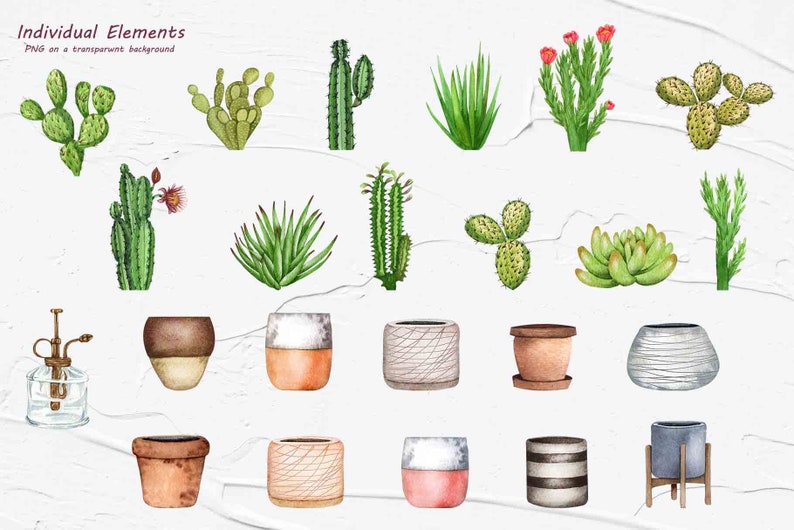 Cactus Watercolor Clipart. Succulent Watercolor Clipart. Houseplants ...