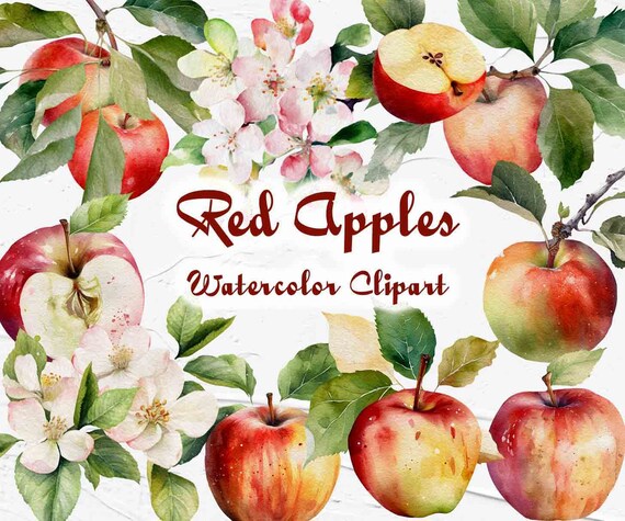 Apple Harvest Clip Art
