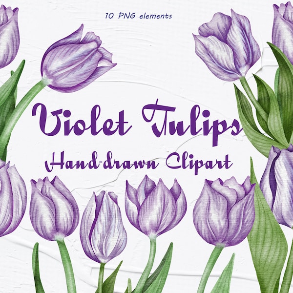 Tulip Watercolor - Etsy