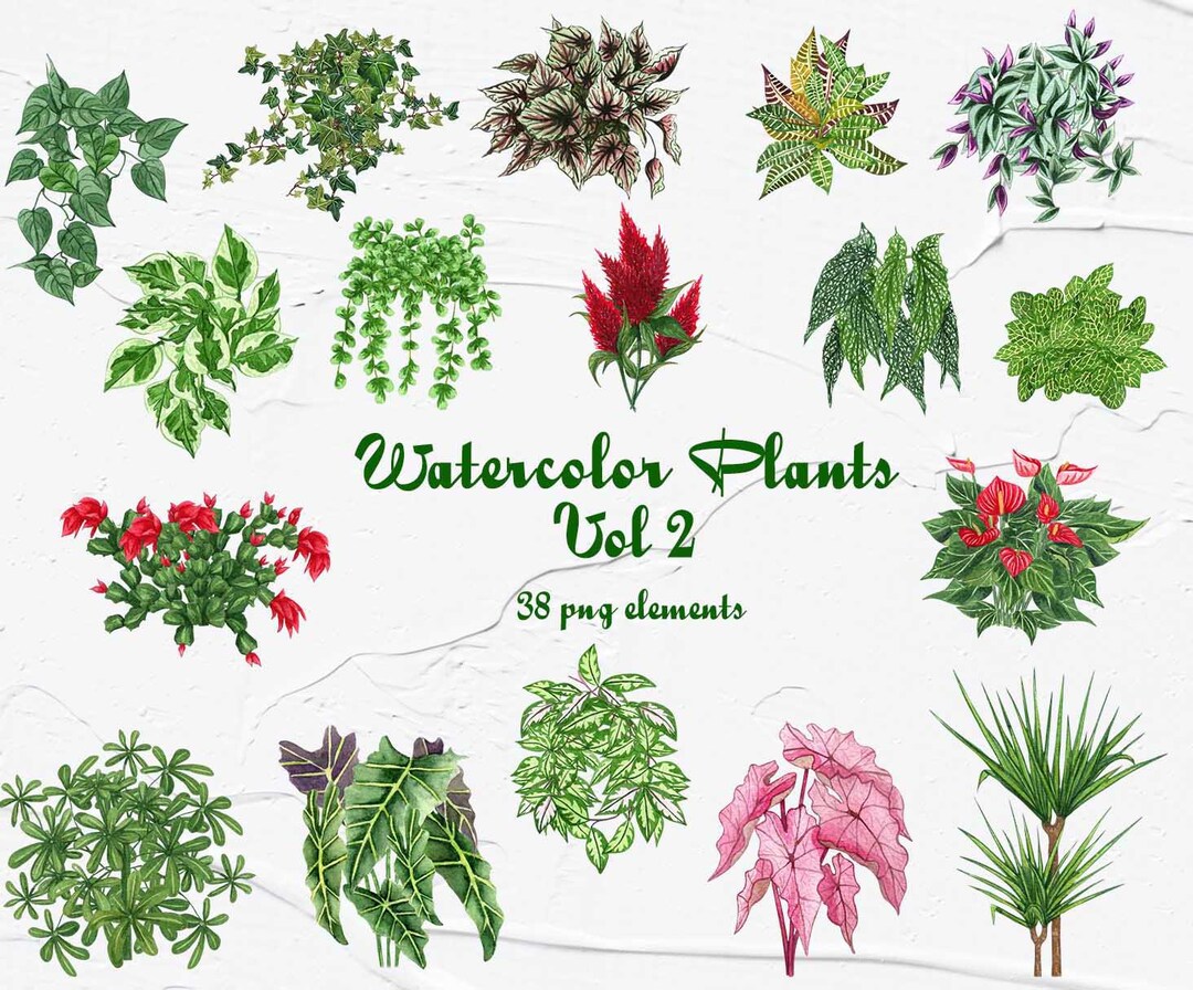 Watercolor Plants. House Plants Clip Art. Indoor Plants Watercolor Clip ...