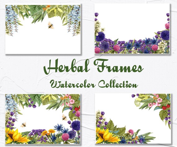 Herbs Watercolor Clipart. Watercolor Wild Flowers Clipart - Etsy