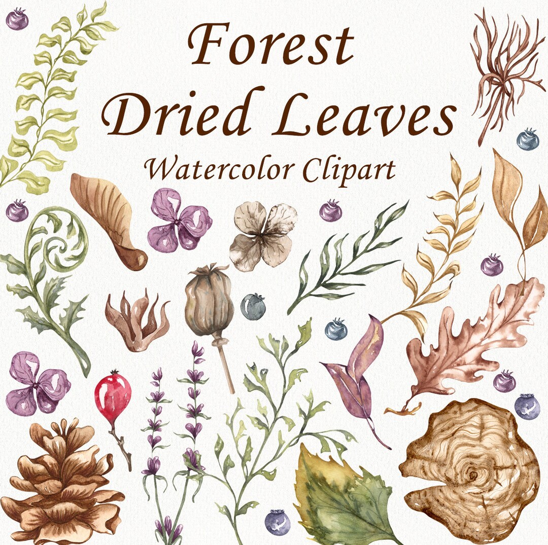 Forest Clipart. Forest Leaves Watercolor Clipart. Watercolor Foraging ...