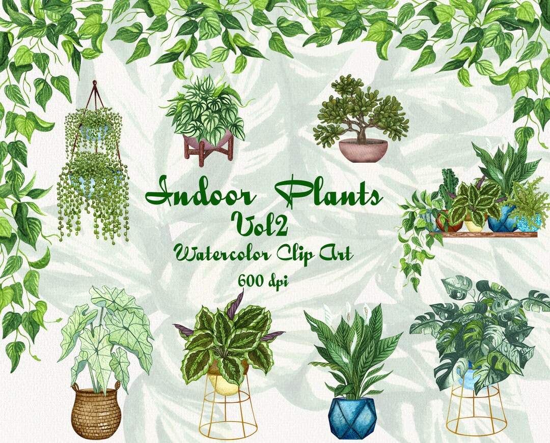 Houseplants Clipart. Potted Plants. Indoor Plants Watercolor Clip Art ...