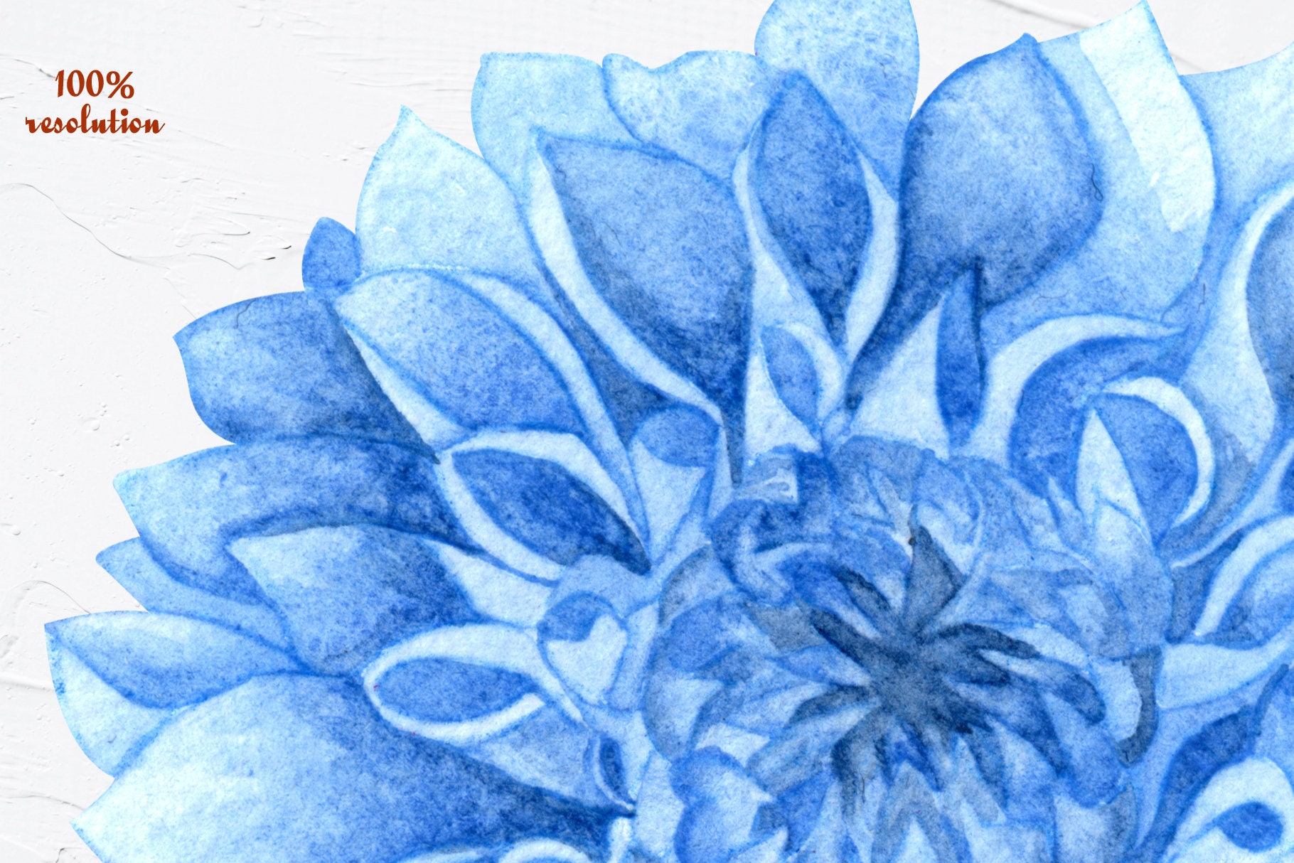 Blue Dahlia Watercolor Clipart. Dahlia Watercolor Clipart. - Etsy