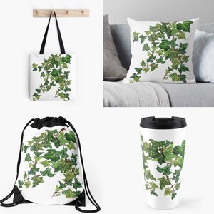 Ivy Watercolor Clip Art. Ivy Clipart. Winter Plant Clipart. Poison Ivy ...