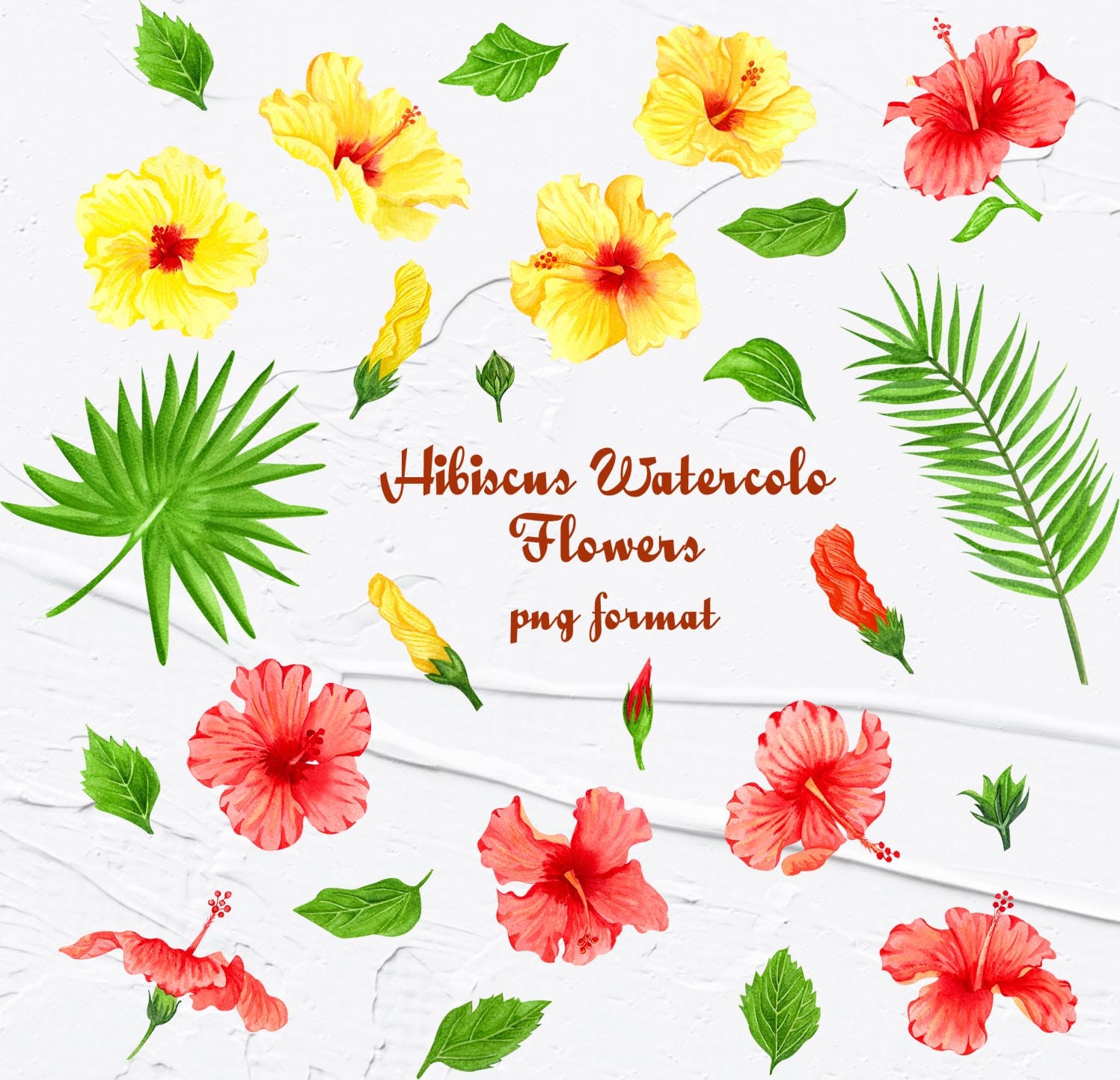 Red Hibiscus Flowers Yellow hibiscus flower Hibiscus Tropical Flowers ...