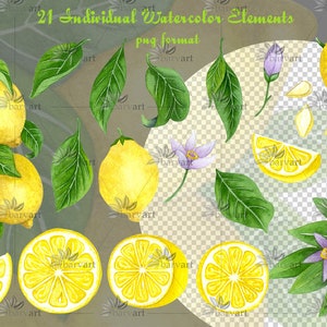 Lemon Watercolor Clipart. Lemon Tree Art. Summer Lemons Clipart, Lemon ...