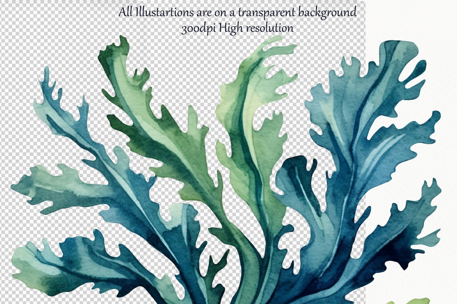Seaweed Watercolor Clipart. Coral Reef Clipart. Tropical Clipart. Ocean ...