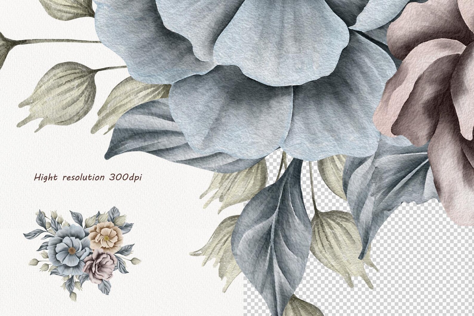 Watercolor Winter Florals Clipart. Winter Botanical Illustration. Dried ...