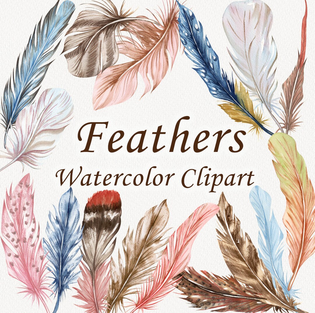 Watercolor Feather Clipart. Feathers Clipart. Bohemian Feathers Clipart ...
