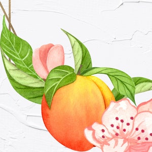 Peach Golden Wreath Clipart. Peach Wreath Clipart. Peach Frames. Summer ...